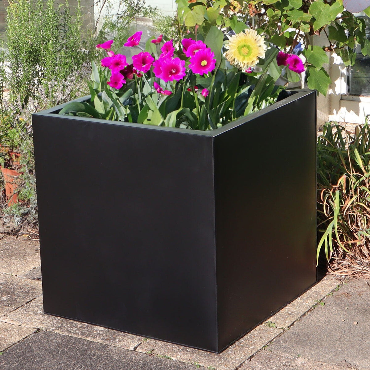 Square Planters - Square Plant Pots – Woven Wood