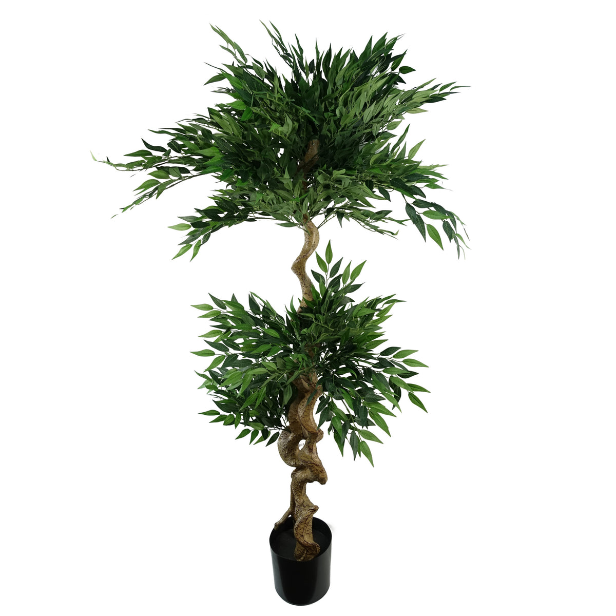 160cm Ruscus Double Twist Trunk Natural Look Japanese Tree – Woven Wood