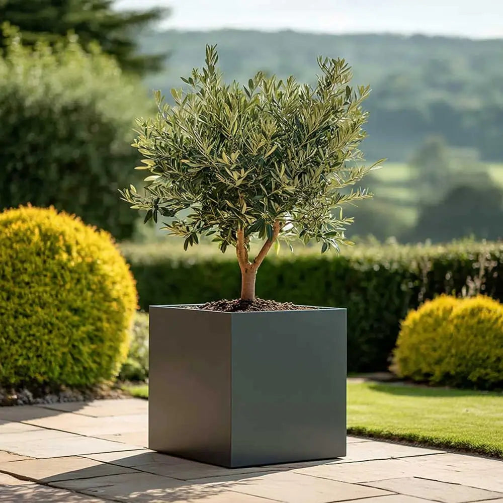 50cm Zinc Galvanised Matte Grey Square Planter – Woven Wood