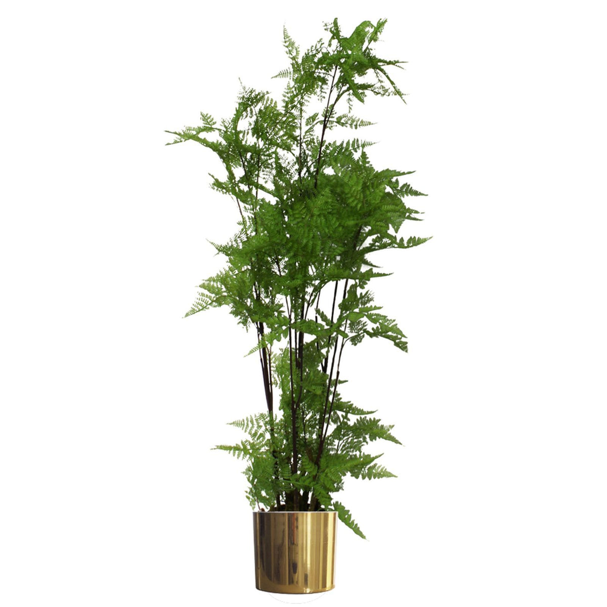 150cm Artificial Natural Moss Base Fern Foliage Plant with Gold Metal ...