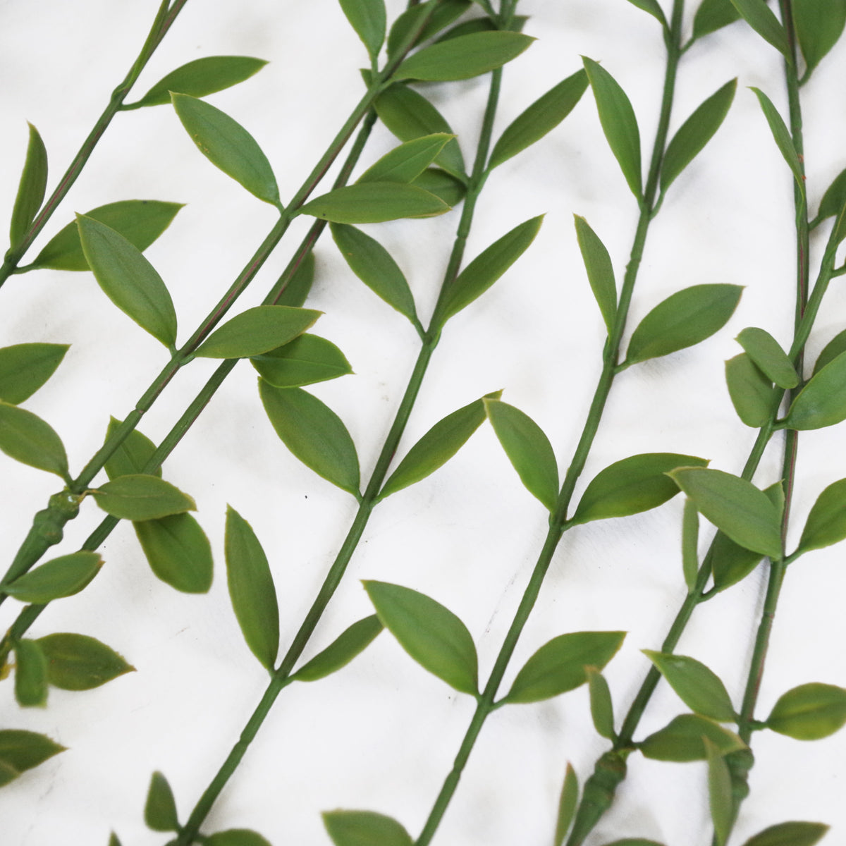 120cm Artificial Hanging String of Pearls – Woven Wood