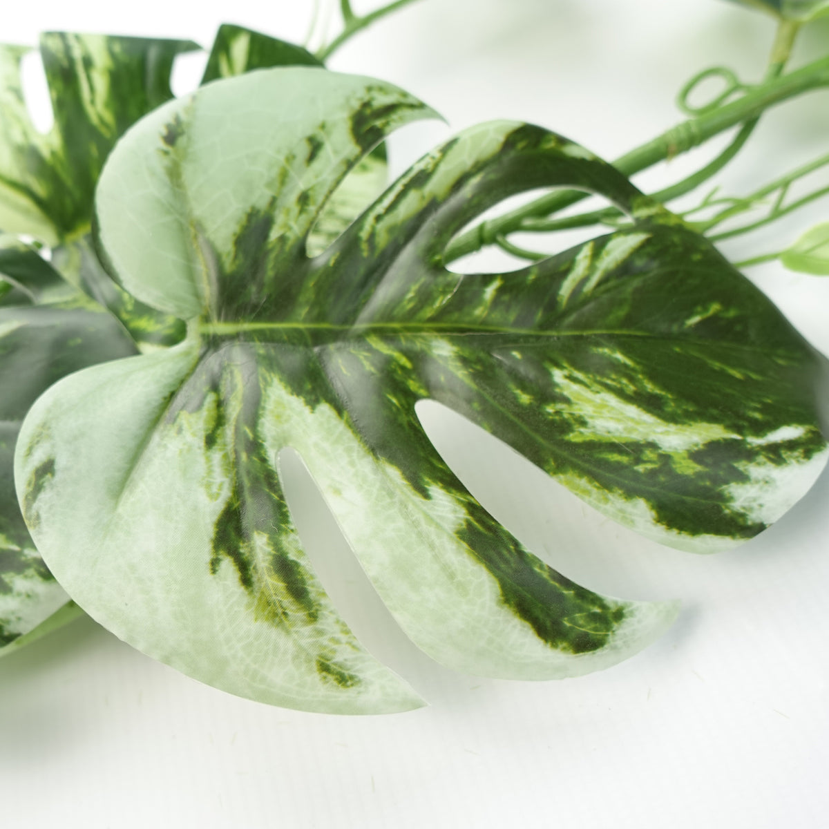 6 x 180cm Artificial Hanging Trailing Variegated Monstera Plant – Woven ...