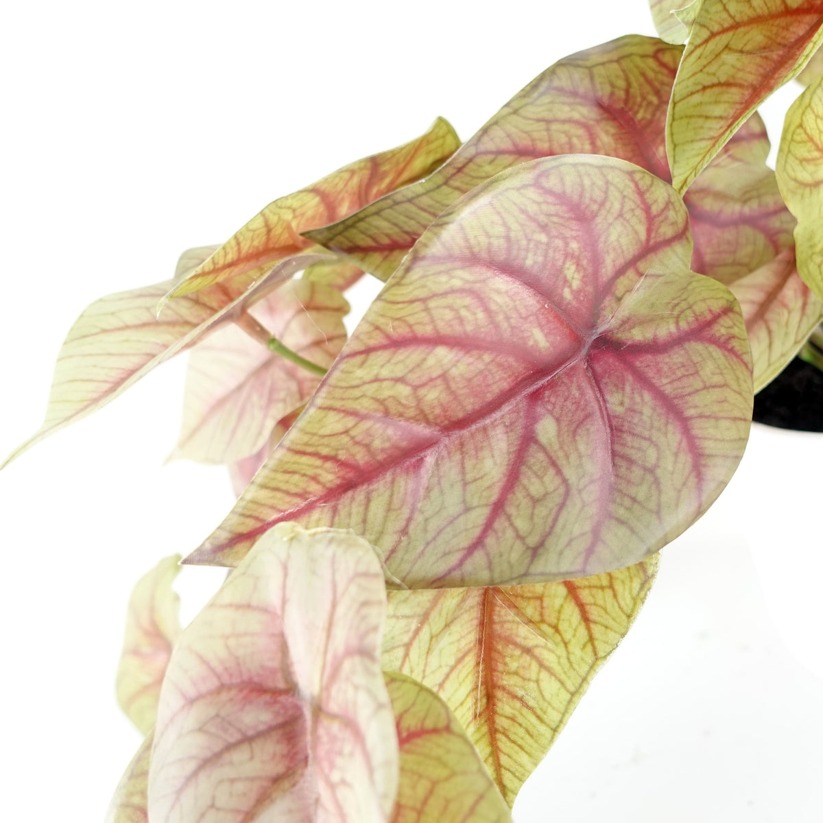 30cm Artificial Pink Caladium Potted Trailing Plant – Woven Wood