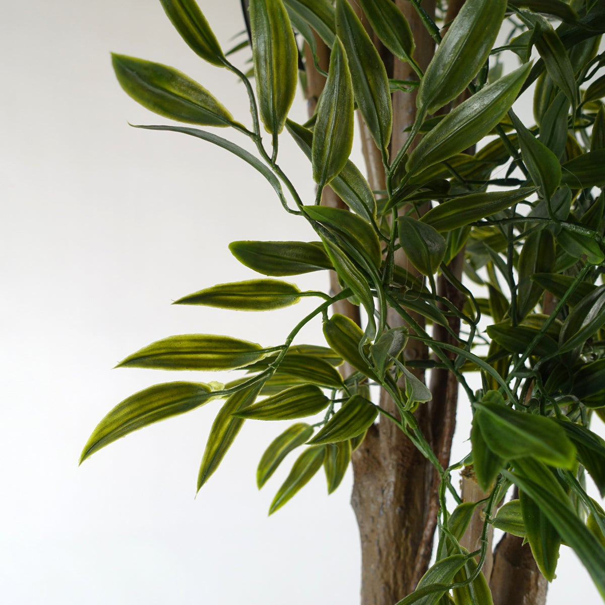 140cm UV Resistant Ruscus Tree- 2716 leaves – Woven Wood