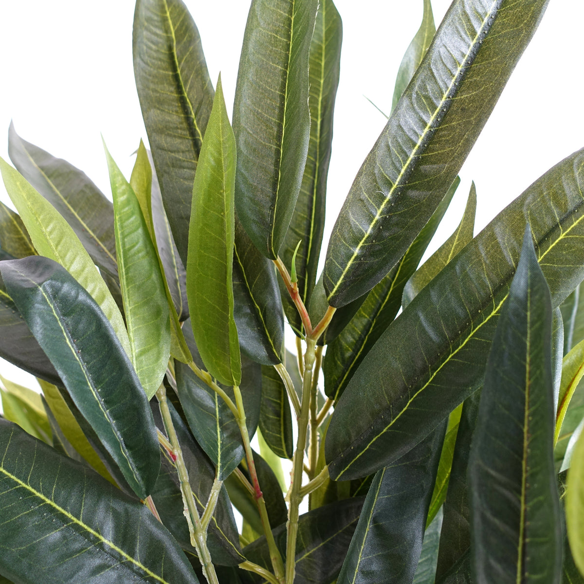 100cm Longifolia Ficus Tree Artificial Natural Trunk – Woven Wood
