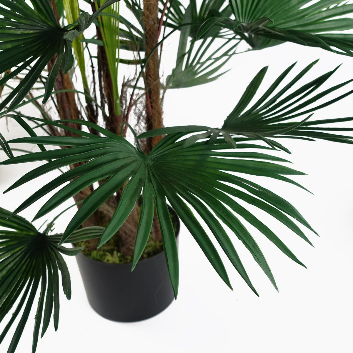 120cm Fan Palm Artificial Tree – Woven Wood