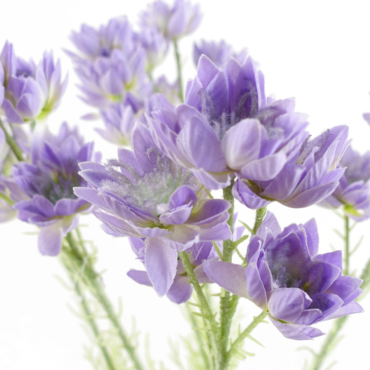 Pack of 6 x 60cm Purple Starflower Stem - 30 Flowers – Woven Wood