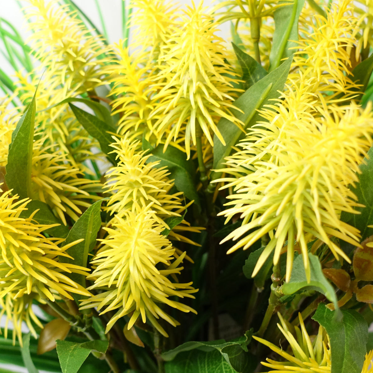 55cm Callistemon Pallidus Yellow Bottle Brush Stem – Woven Wood