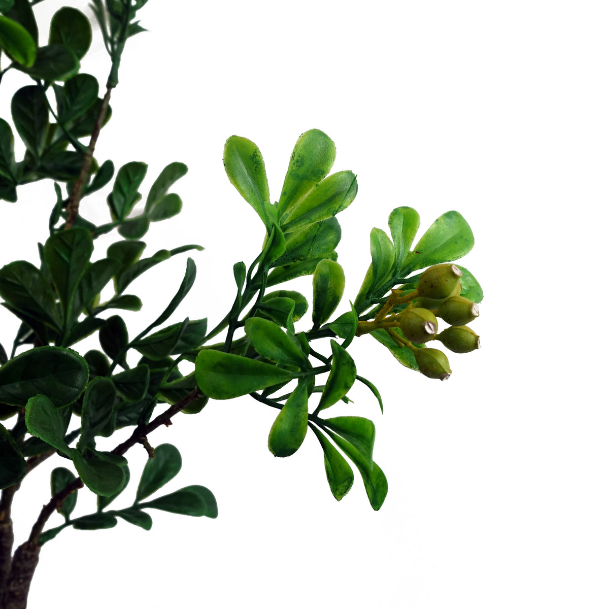 60cm Artificial Aglaia Odorata Bonsai Ficus Tree – Woven Wood