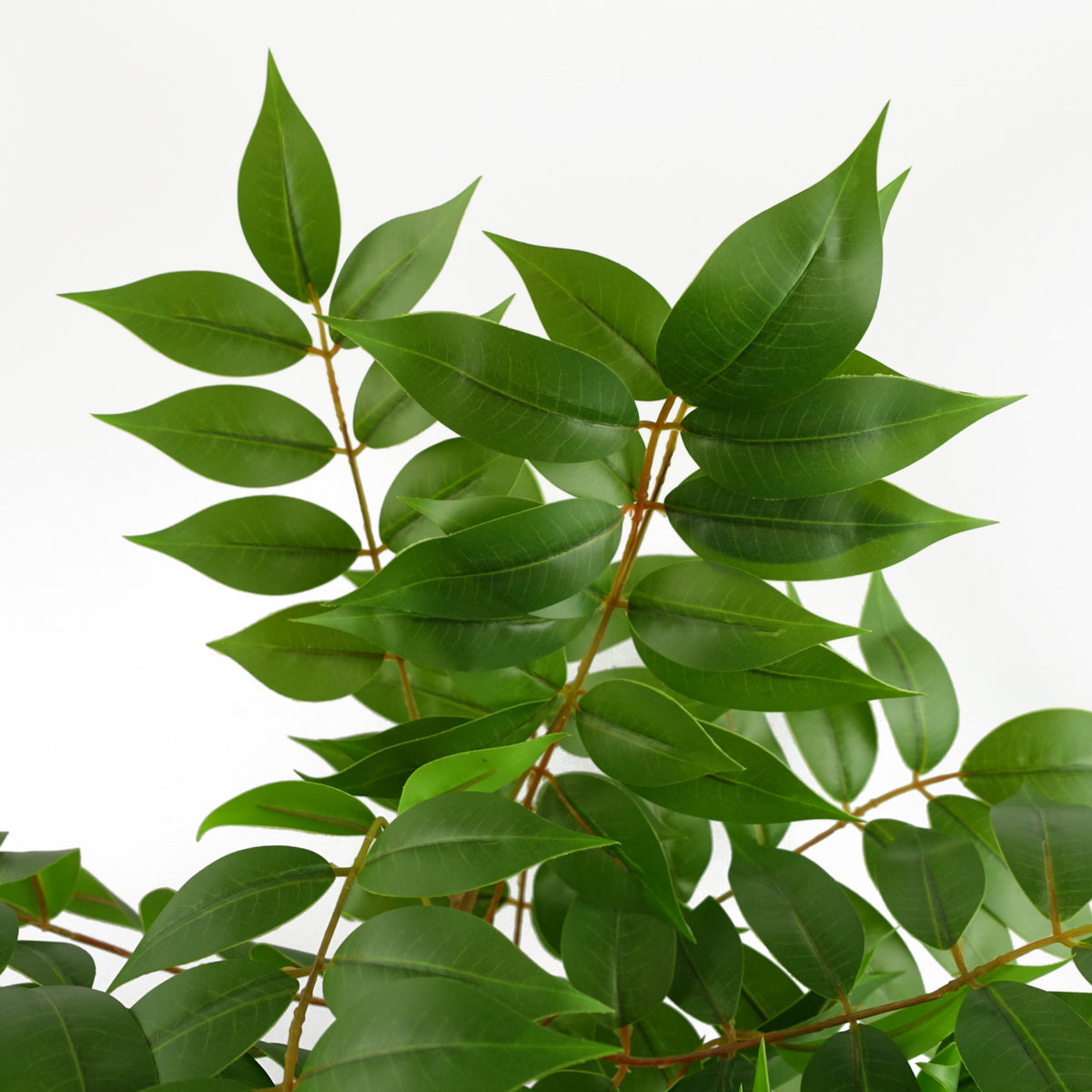 110cm Artificial Toona Sinensis Tree Evergreen – Woven Wood