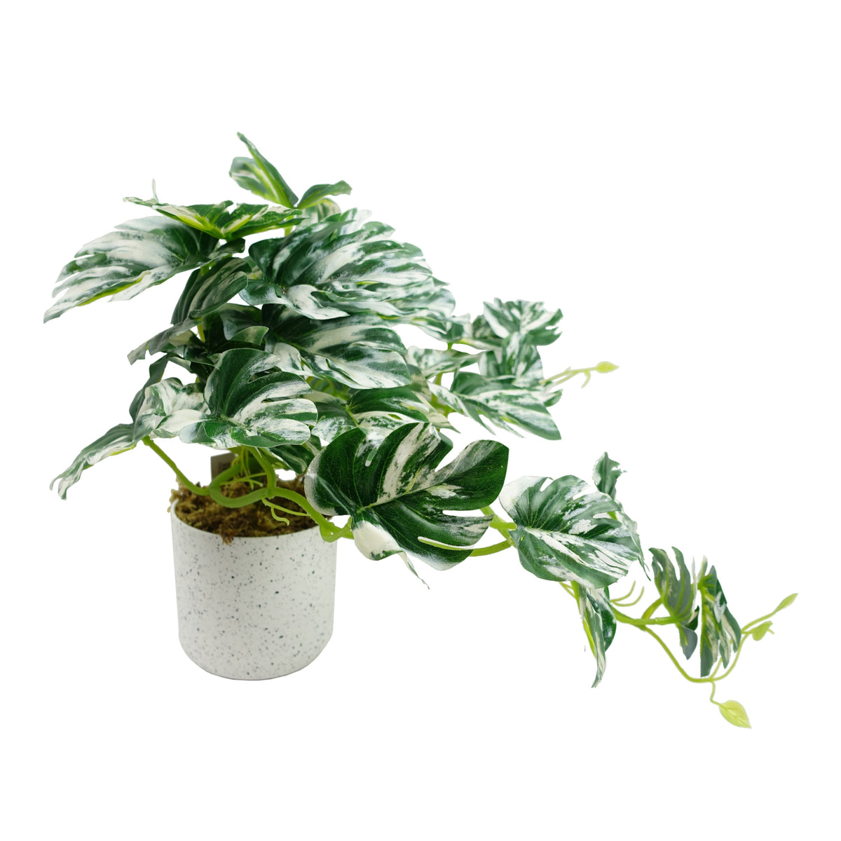 30cm Artificial Variegated Green Potted Monstera Trailing Plant – Woven ...