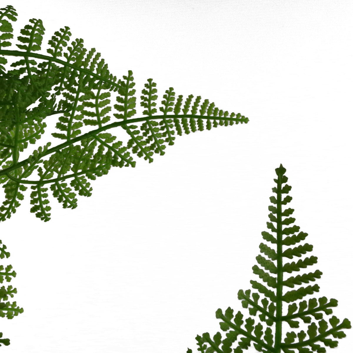 150cm Artificial Natural Moss Base Fern Foliage Plant with Silver Meta ...