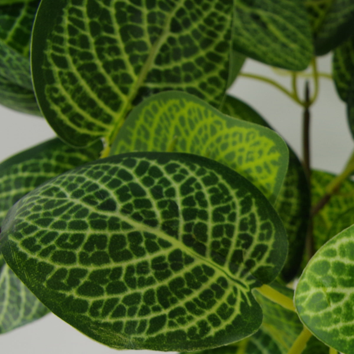 40cm Artificial Variegated Pothos Plant – Woven Wood