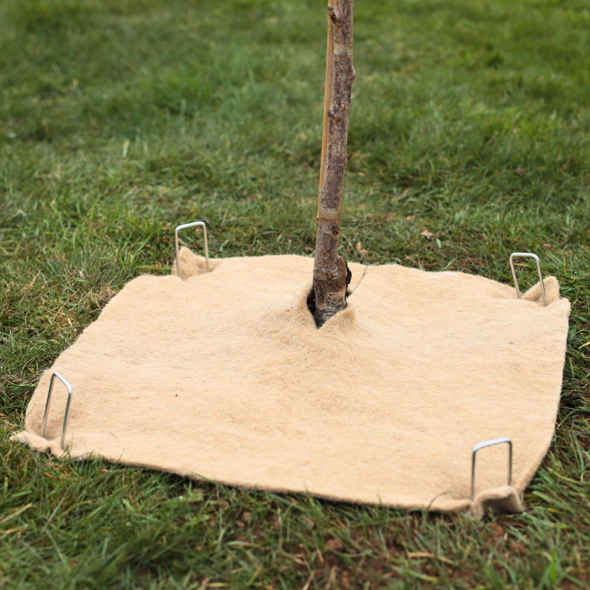 Weed Mat & 4 Stakes – Woven Wood