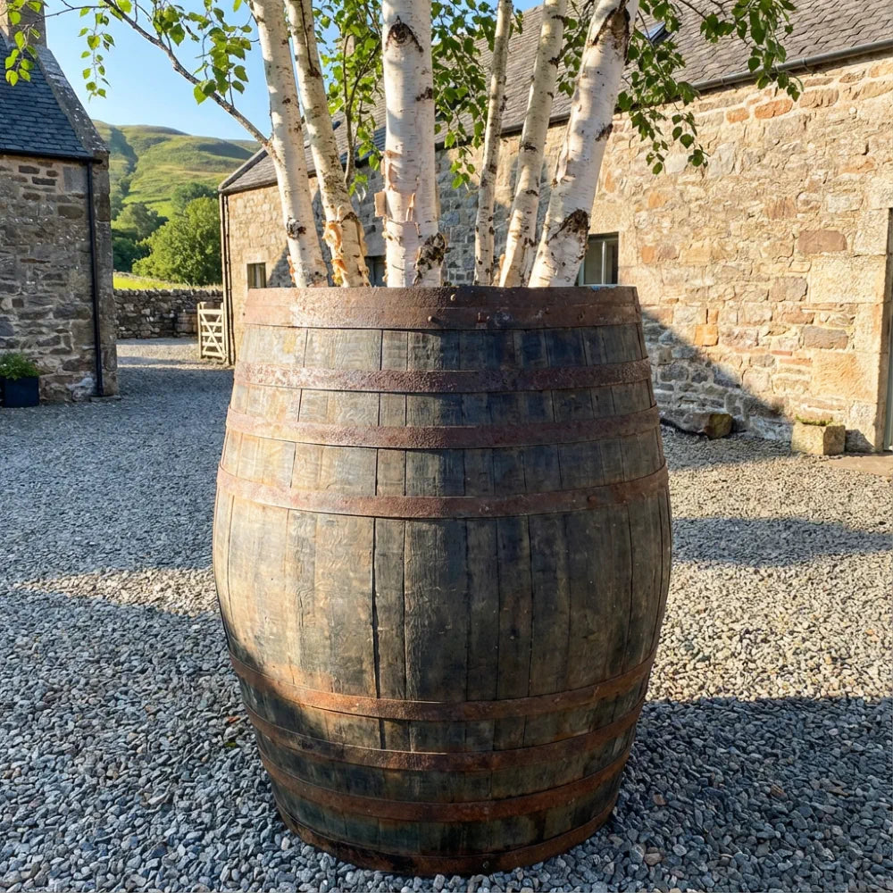 90cm Giant Rustic Full Barrel Oak Tree Planter – Woven Wood
