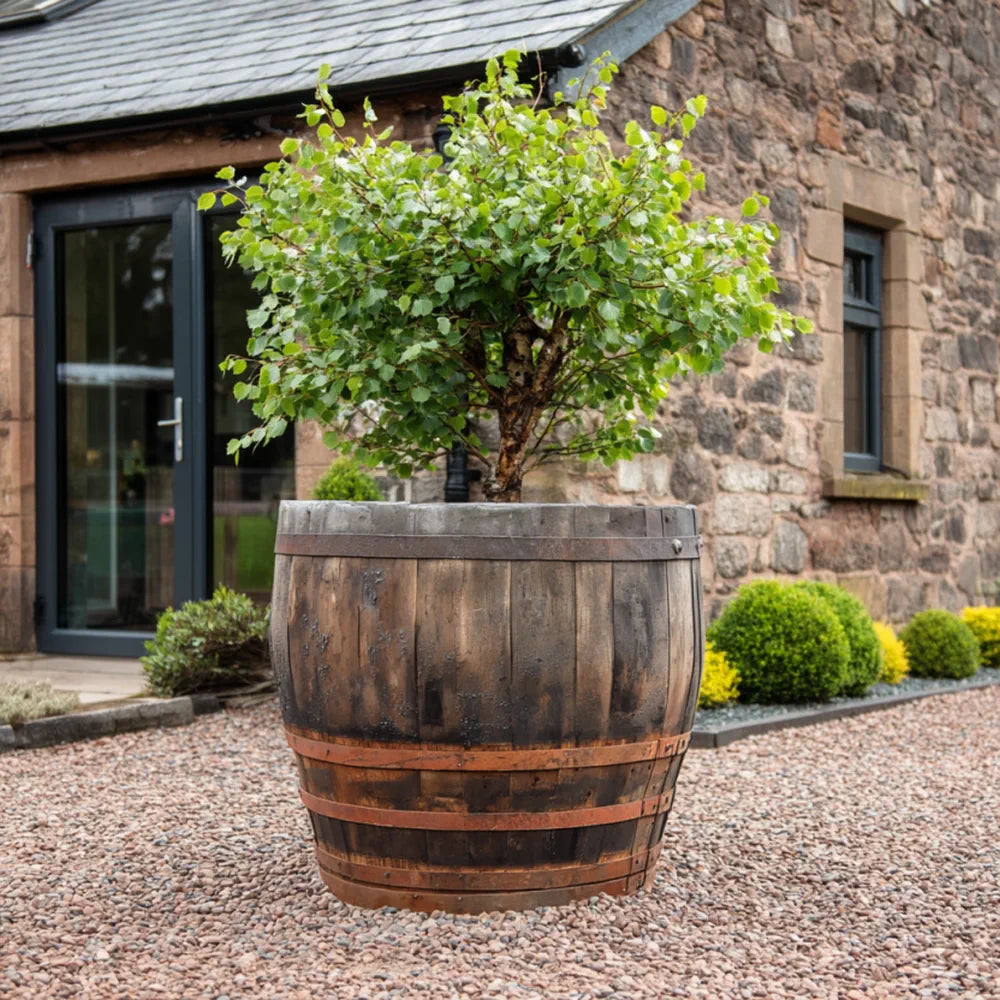 90cm Giant Rustic 3/4 Barrel Oak Tree Planter – Woven Wood