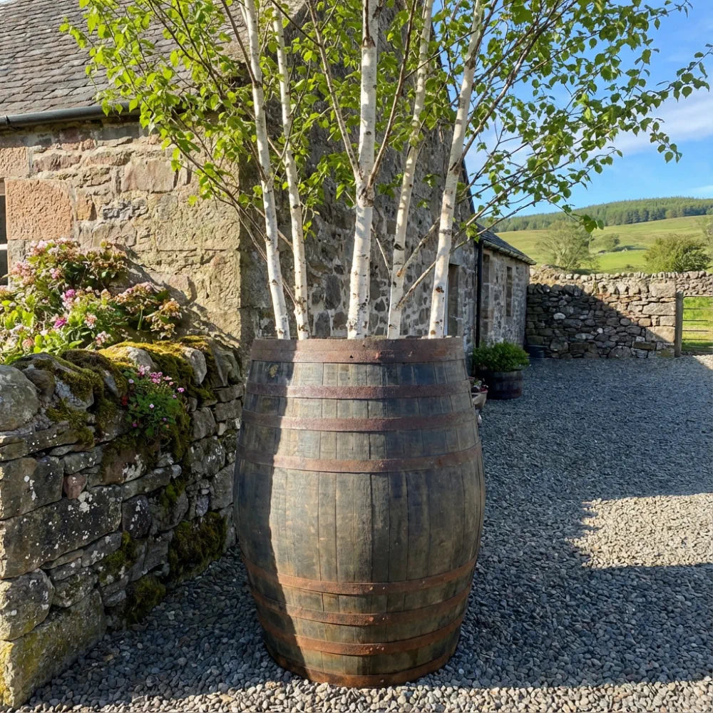 90cm Giant Rustic Full Barrel Oak Tree Planter – Woven Wood