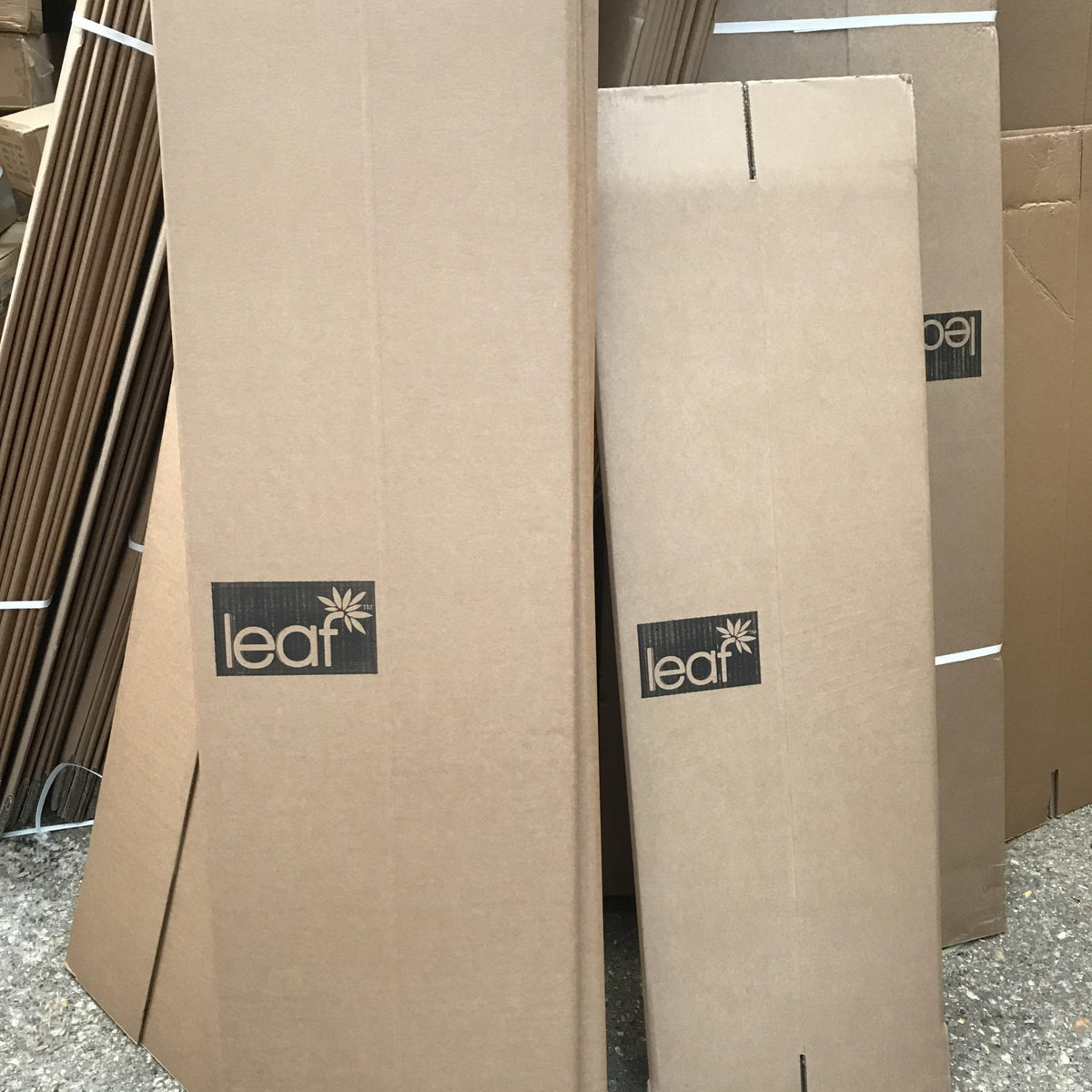 Leaf Long Cardboard Box - Wide 90cm x 28cm x 15cm – Woven Wood