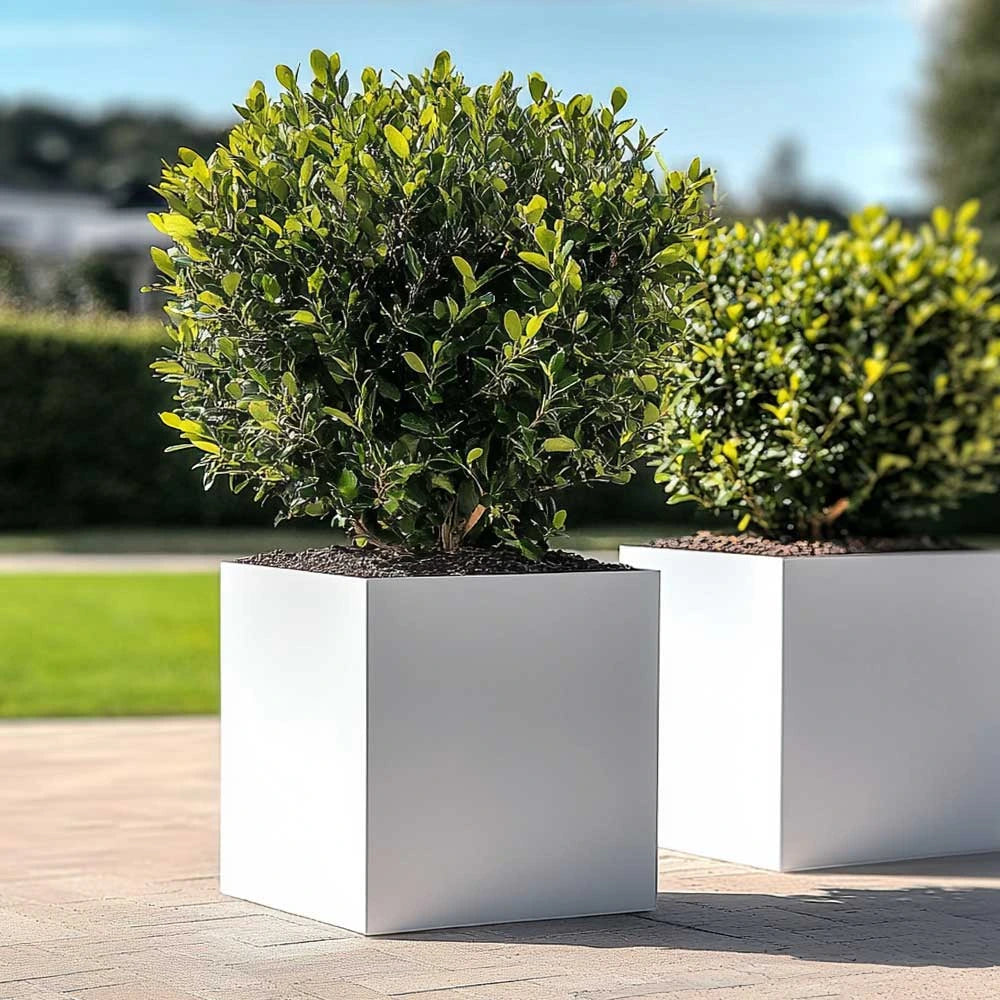 60cm Zinc Galvanised Matte White Square Planter – Woven Wood