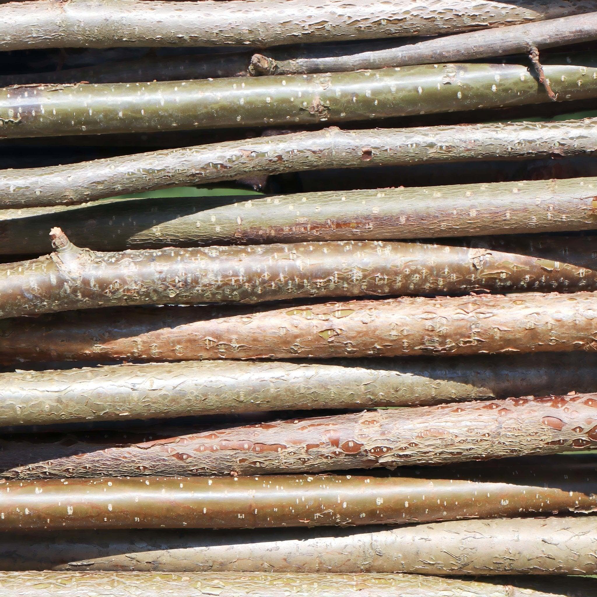 Hazel Hurdle Fence Panel Premium Weave – Woven Wood