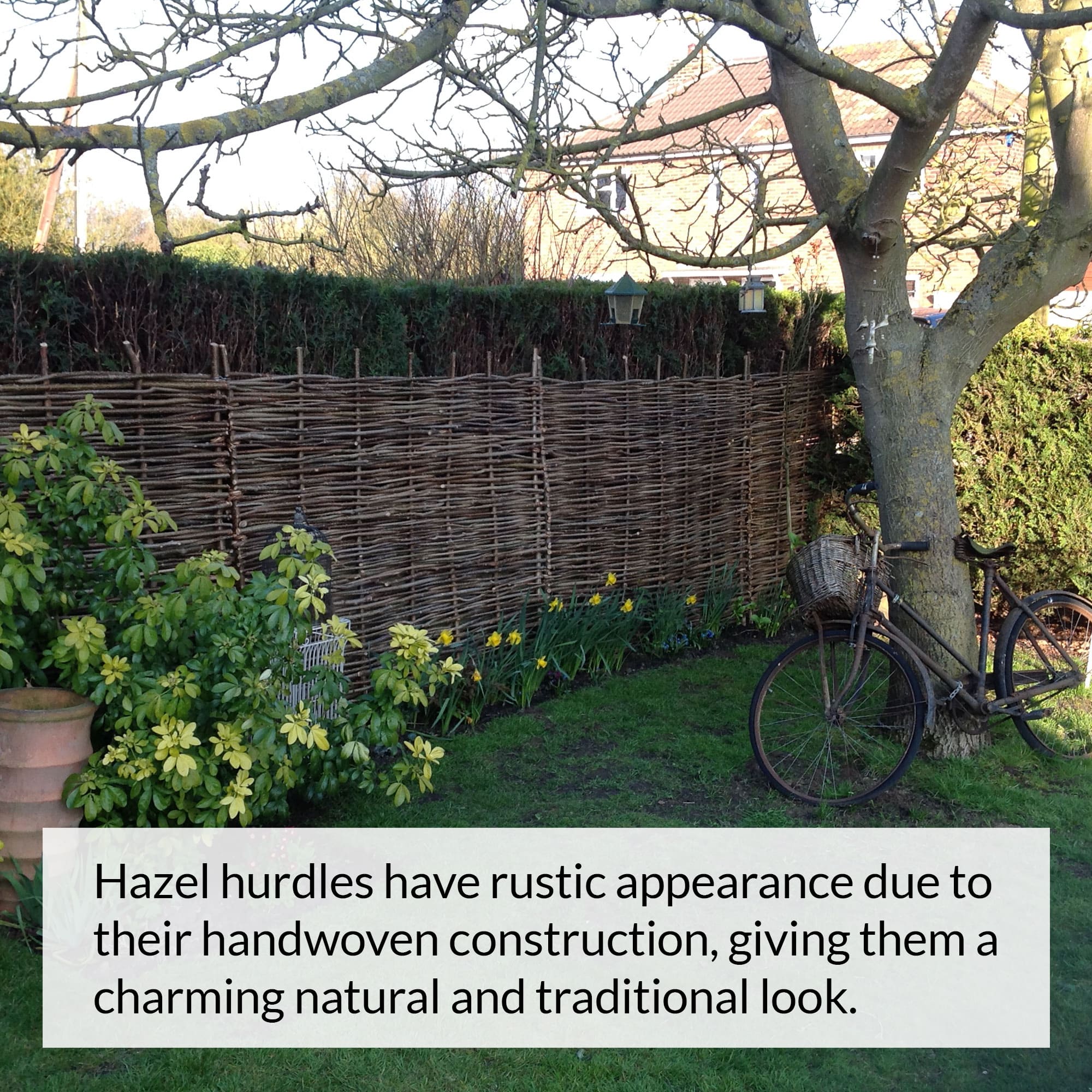 Hazel Hurdle Fence Panel Premium Weave – Woven Wood