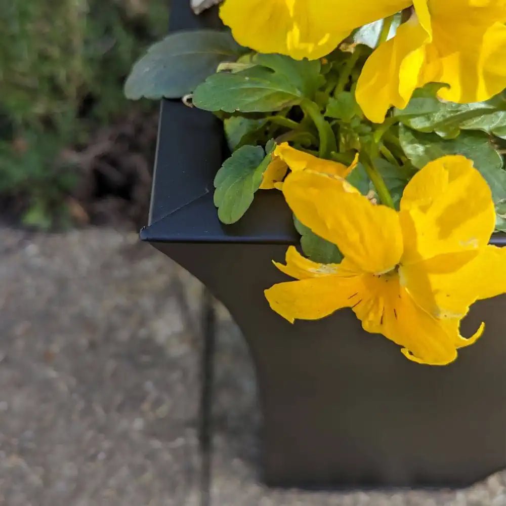 H50cm Galvanised Matte Black Flared Tall Square Planter – Woven Wood