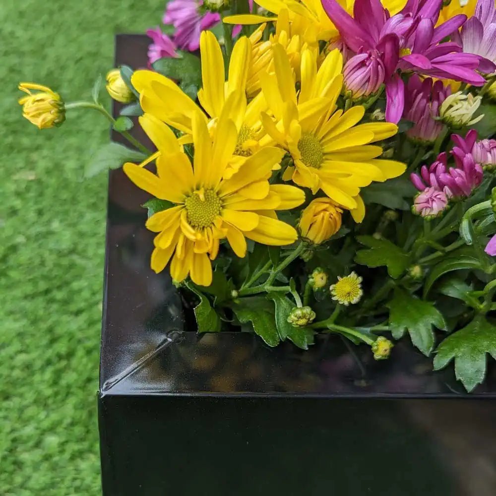 60cm Zinc Galvanised Polished Black Square Planter – Woven Wood