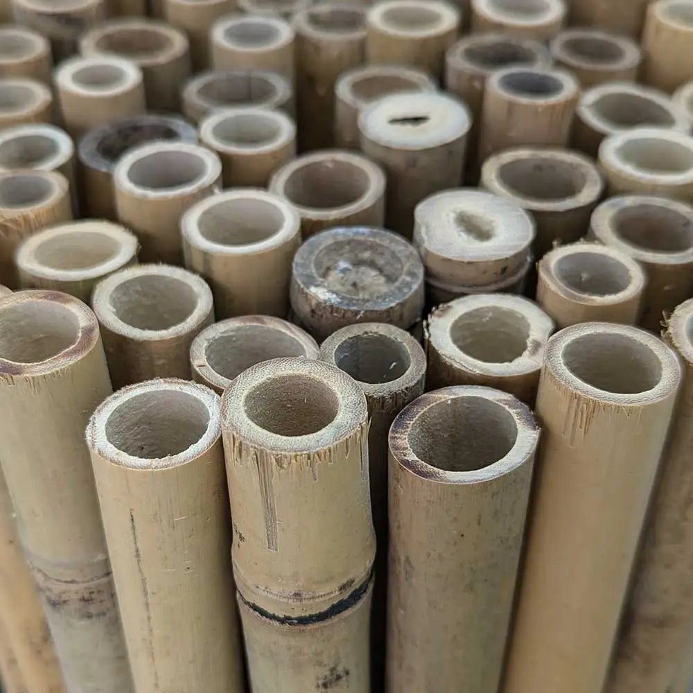Natural Premium Thick Bamboo Cane Fencing Screening Rolls – Woven Wood