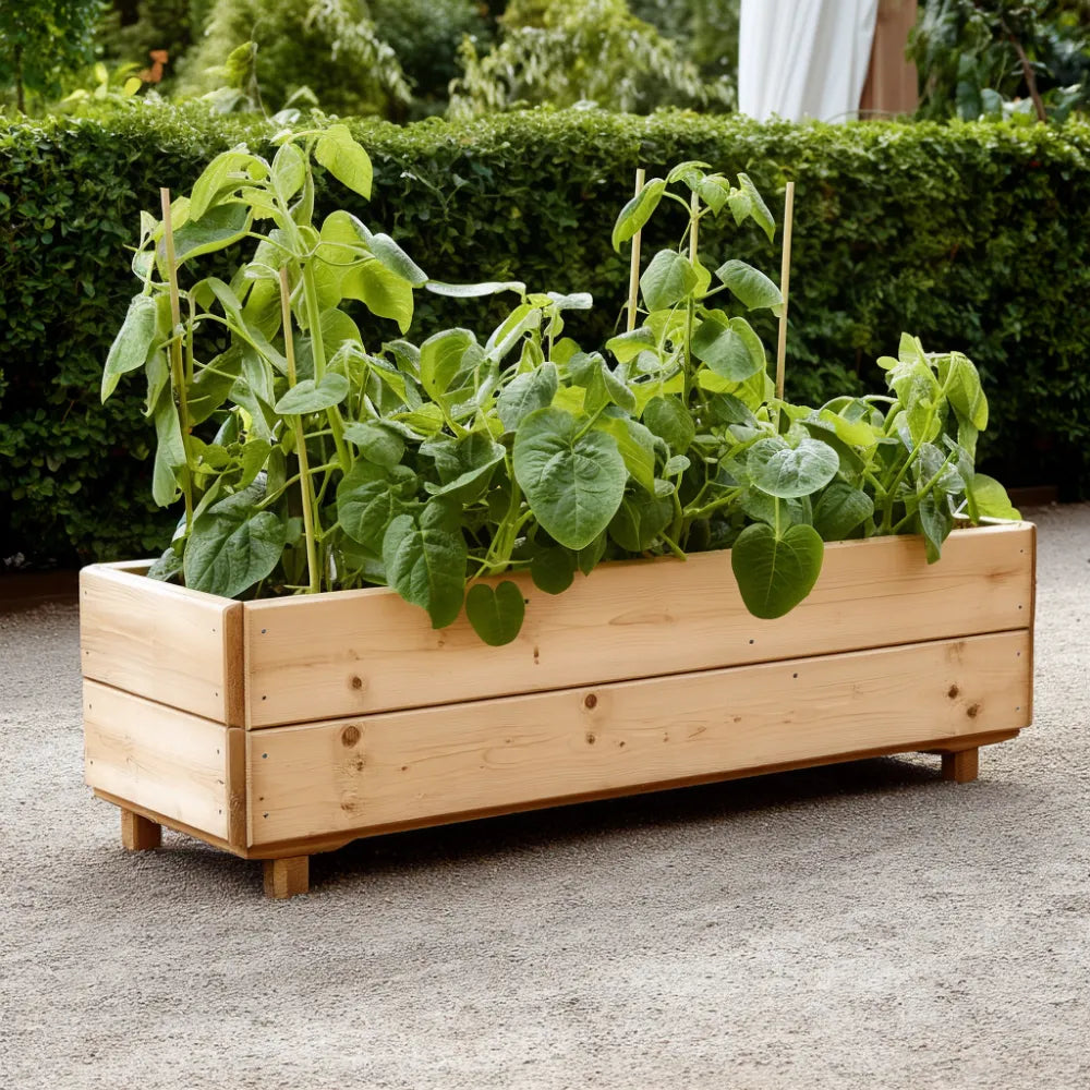 Premium Wood Runner Bean Planter with Feet – Woven Wood