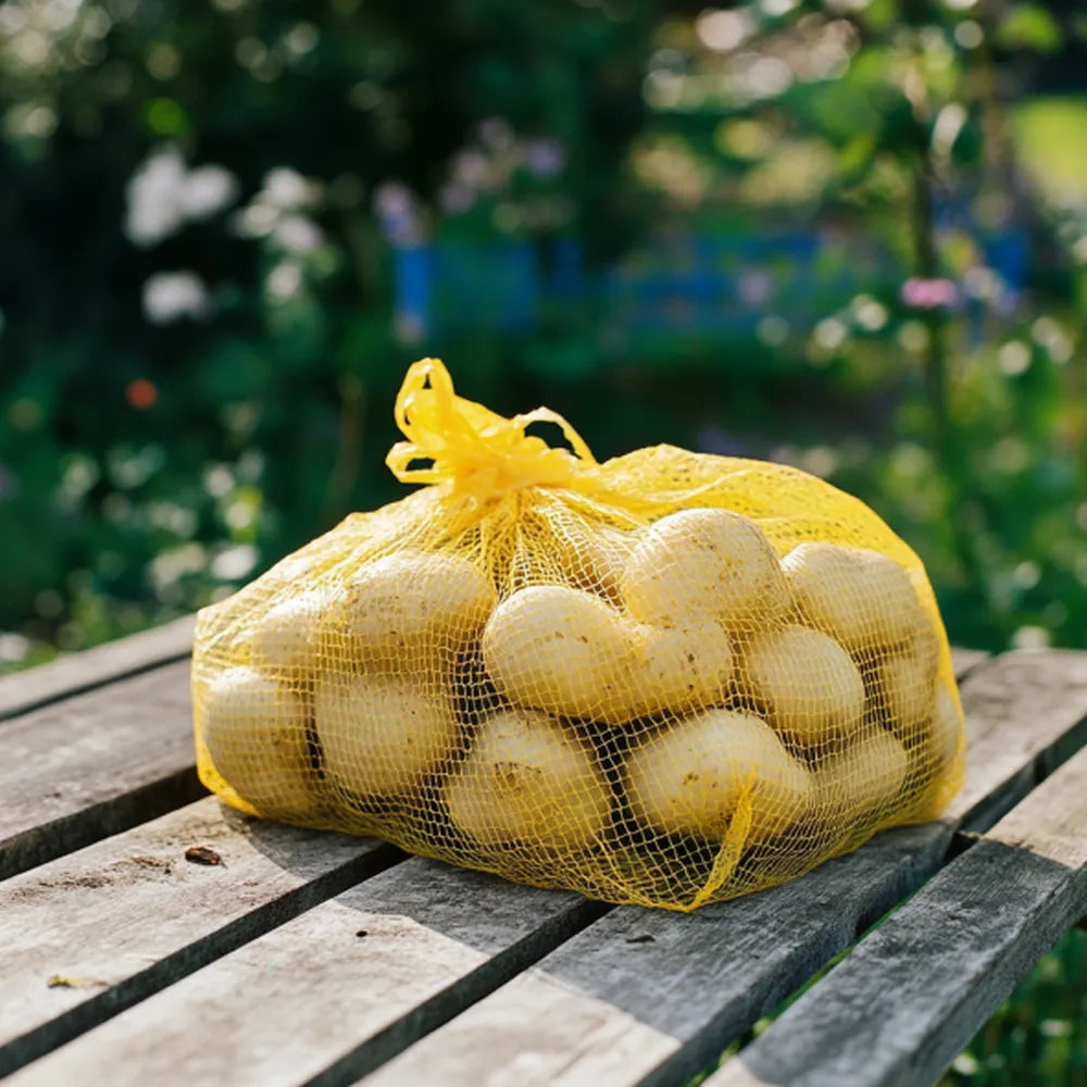 'Rooster' Maincrop Seed Potatoes – Woven Wood