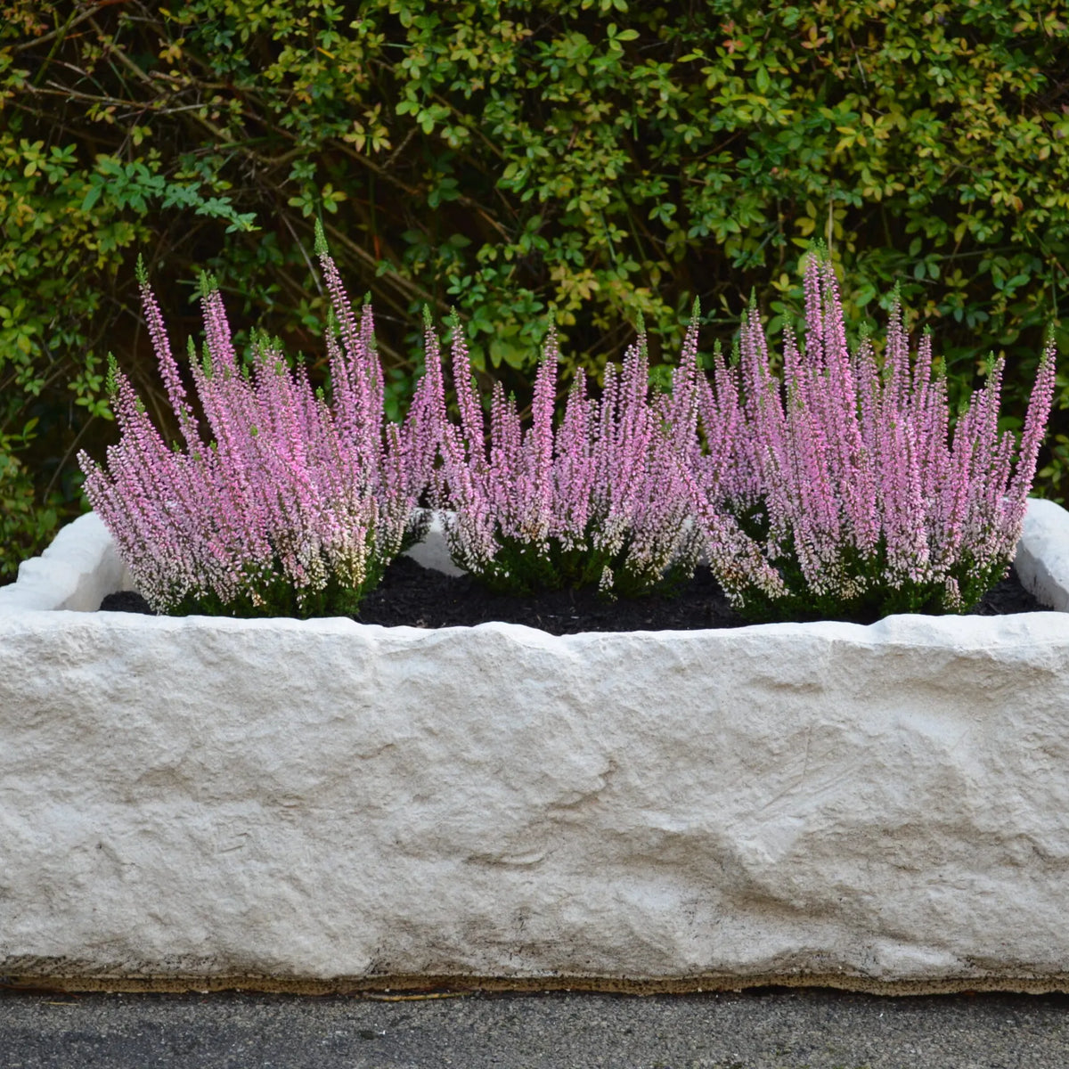 Customisable Stone Alpine Trough – Woven Wood