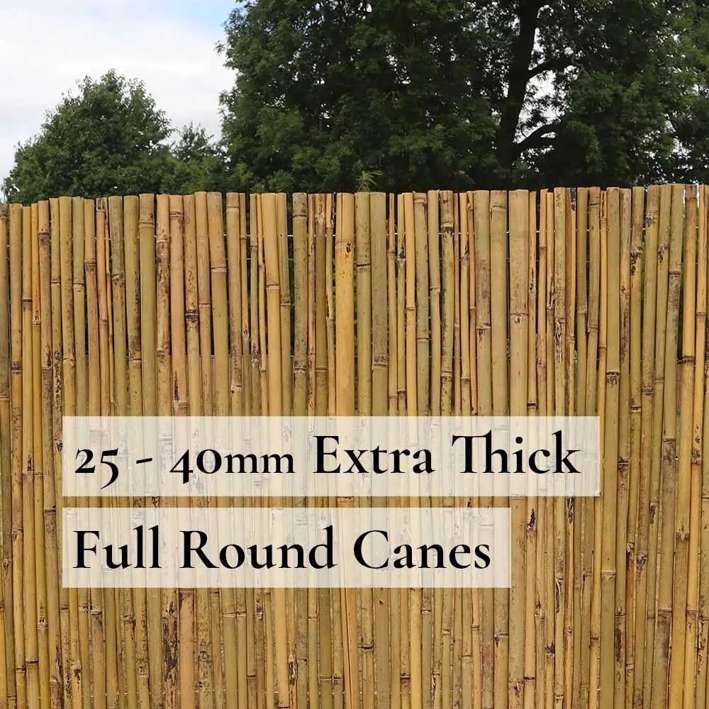 Natural Premium Thick Bamboo Cane Fencing Screening Rolls – Woven Wood