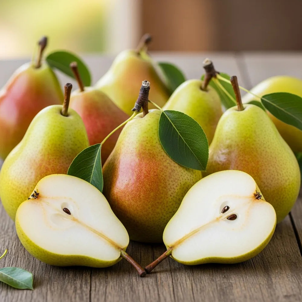 5ft Columnar Williams Bon Chrétien Pear Tree | 9L Pot – Woven Wood