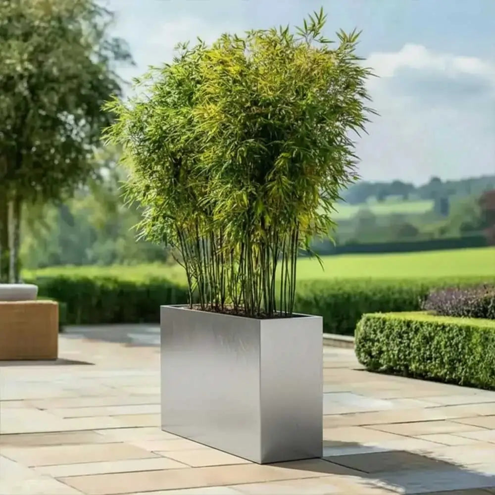 100cm Long Zinc Silver Galvanised 80cm Tall Trough Planter – Woven Wood